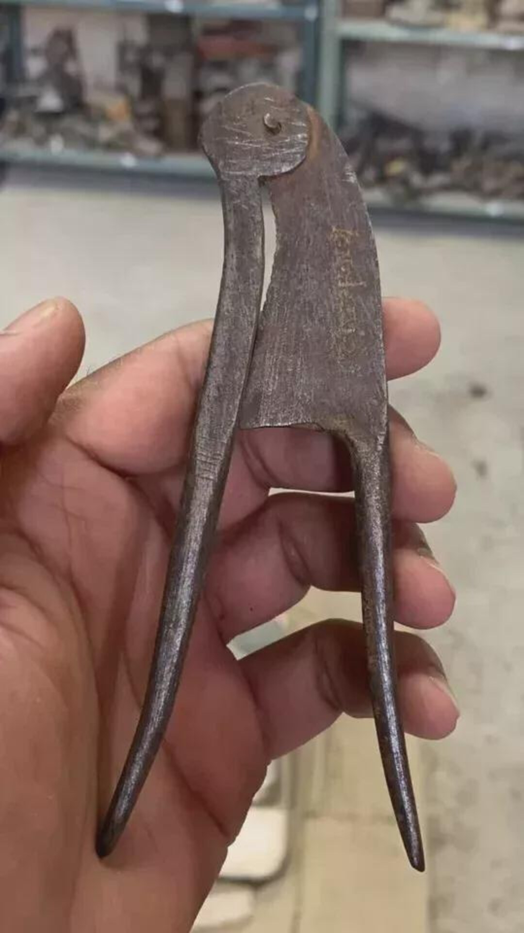 Antique Indian Old Iron Hand Crafted Betel Nut Cutter & Areca Nut ...