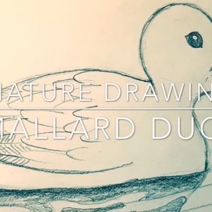 Pencil Drawing of Mallard Duck Video | Art Lesson 3 of 5 | Rick Tan - Etsy