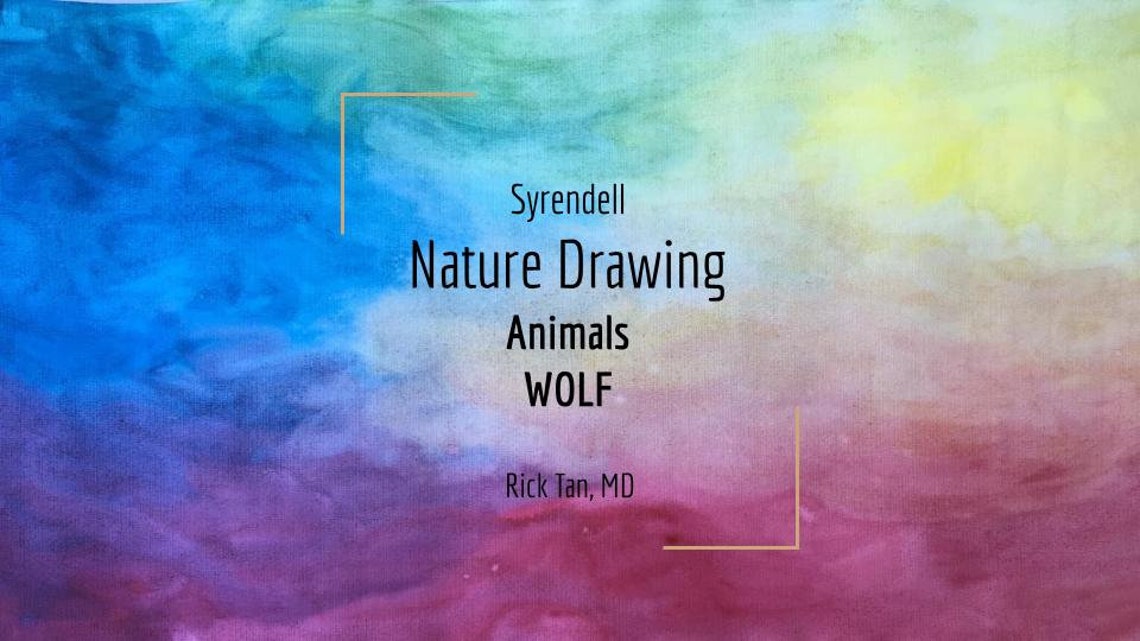 Pencil Drawing of Wolf Video | Art Lesson 4 of 5 | Rick Tan - Etsy
