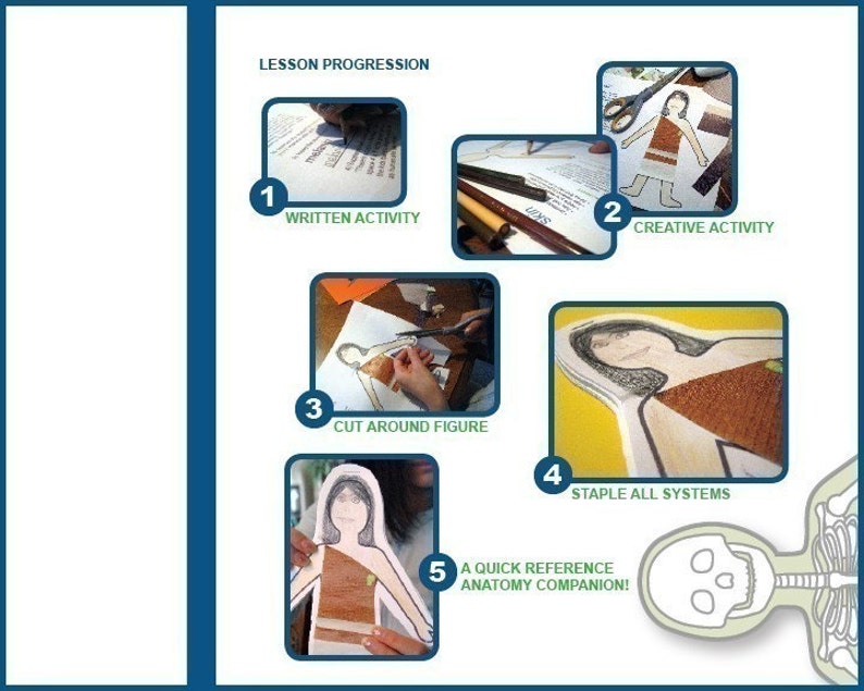 Anatomy for Kids Ebook - Etsy