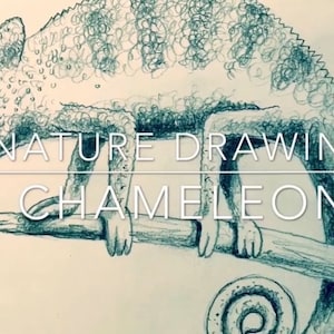 Pencil Drawing of Chameleon Video | Art Lesson 5 of 5 | Rick Tan - Etsy