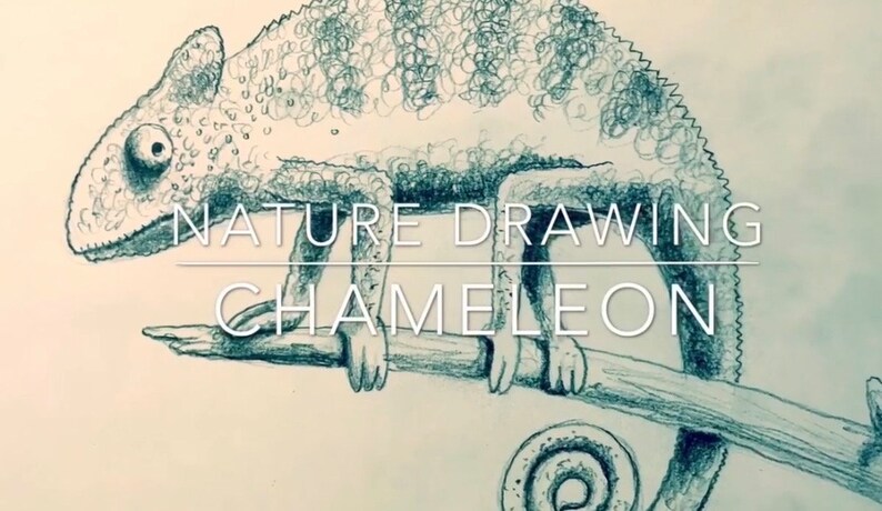 Pencil Drawing of Chameleon Video | Art Lesson 5 of 5 | Rick Tan - Etsy