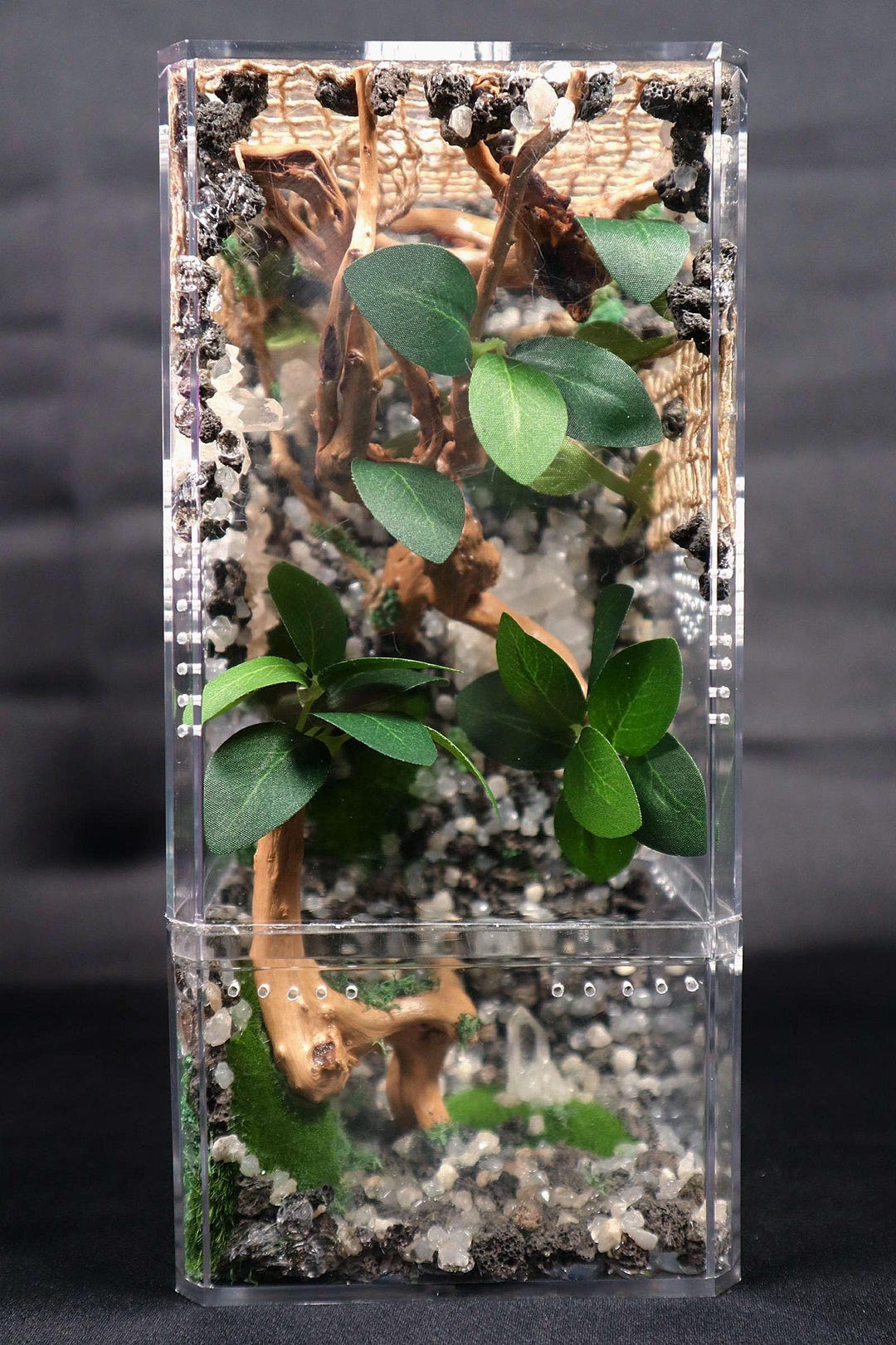 Jumping Spider Enclosure- Quartz Cave - Etsy