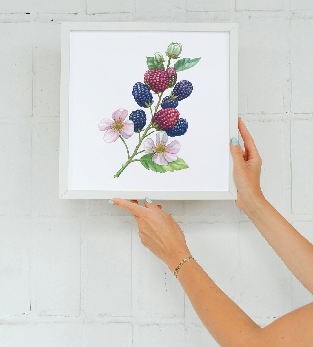 Blackberry Poster Berries Poster Kitchen Wall Art Botanical Art Print ...
