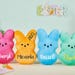 Personalized Peeps Bunnies,easter Peeps Bunny Plush Toy,mini Peeps ...