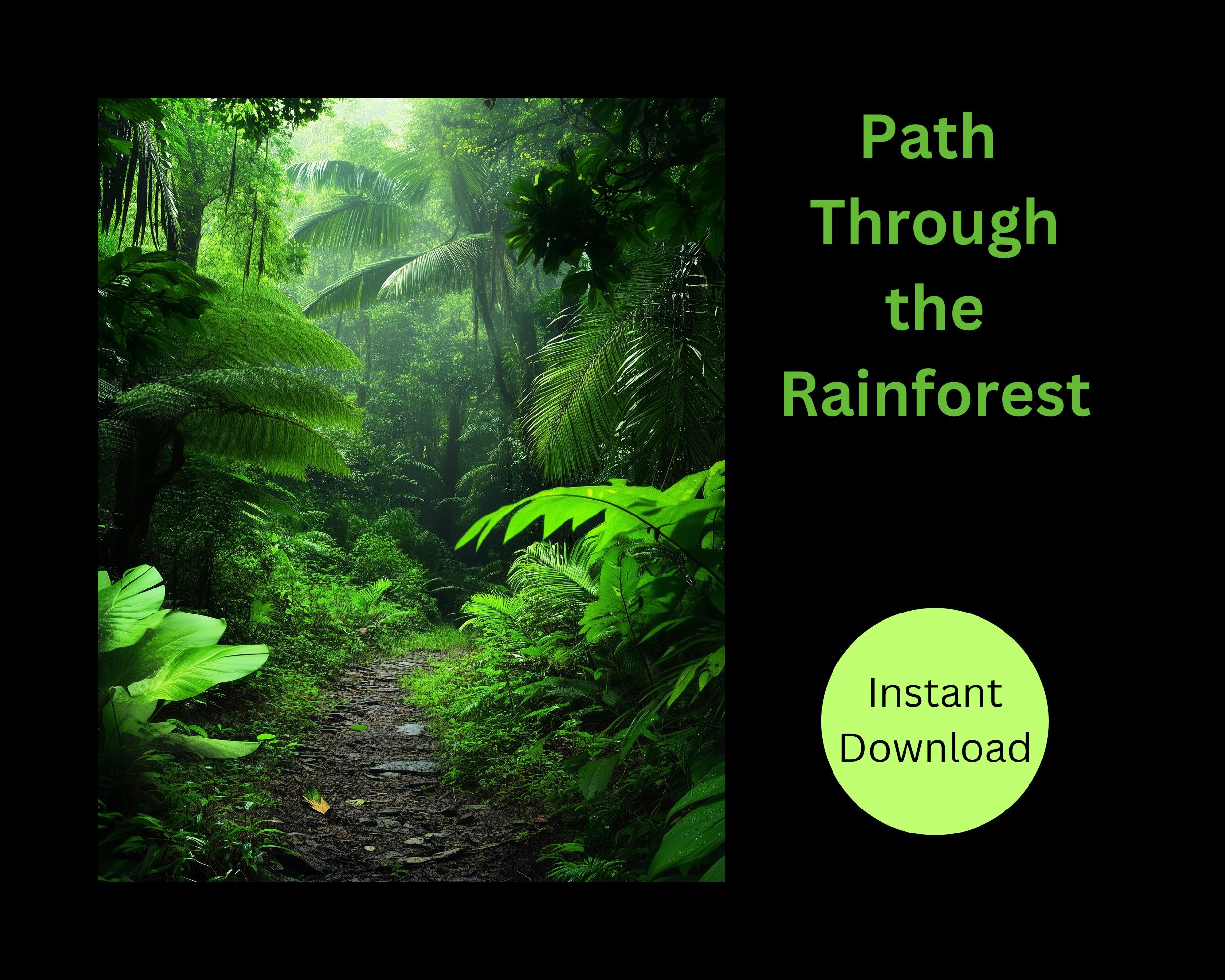 Printable Wall Art - Path Through the Rainforest - Lush Green Foliage ...