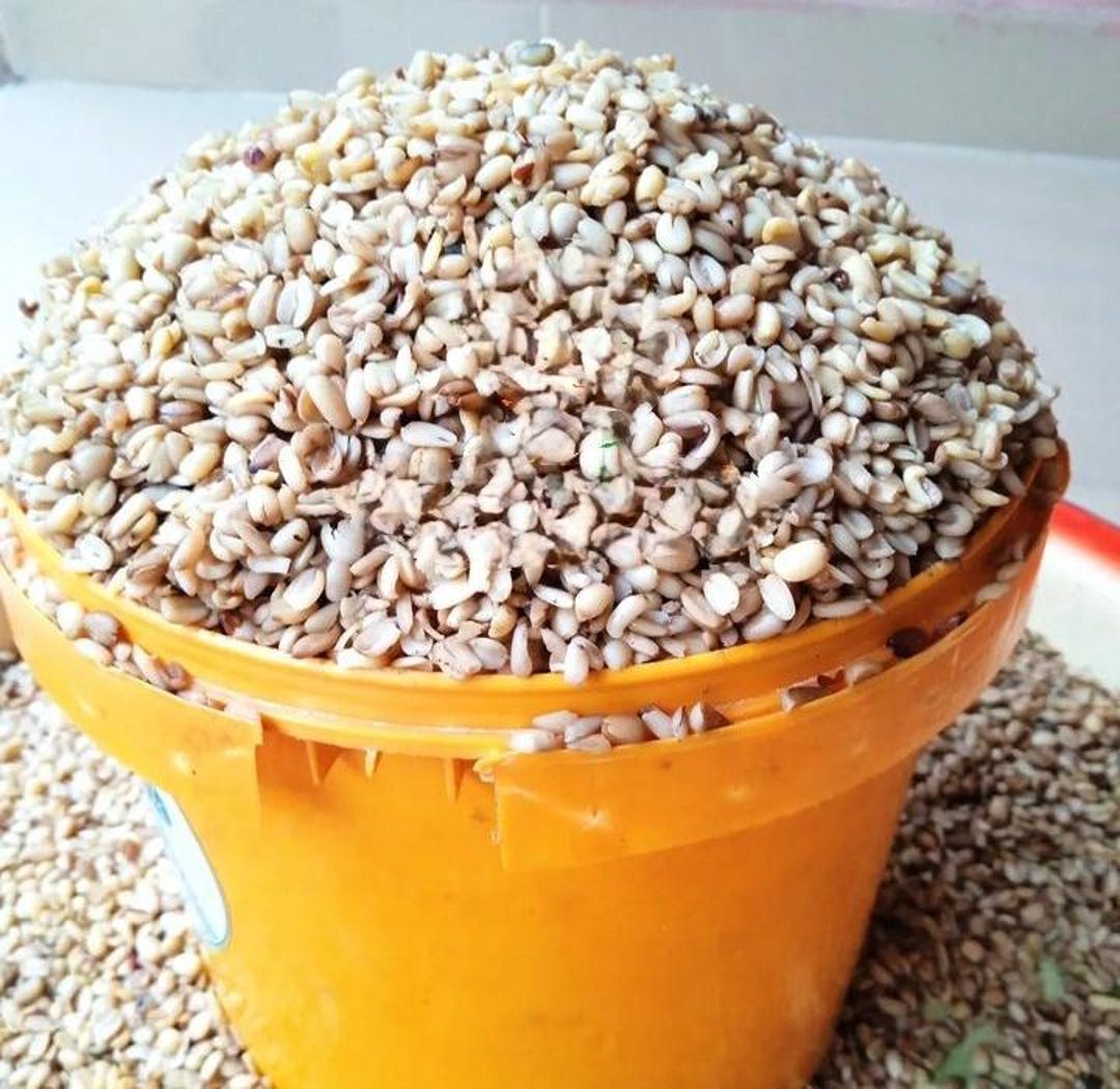 Organic Ukwa Afon African Breadfruit 2kg Nigerian African Ingredients ...