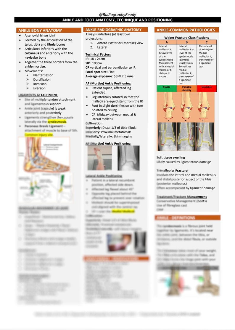 Ankle and Foot - Anatomy, Positioning and Technique Notes for ...
