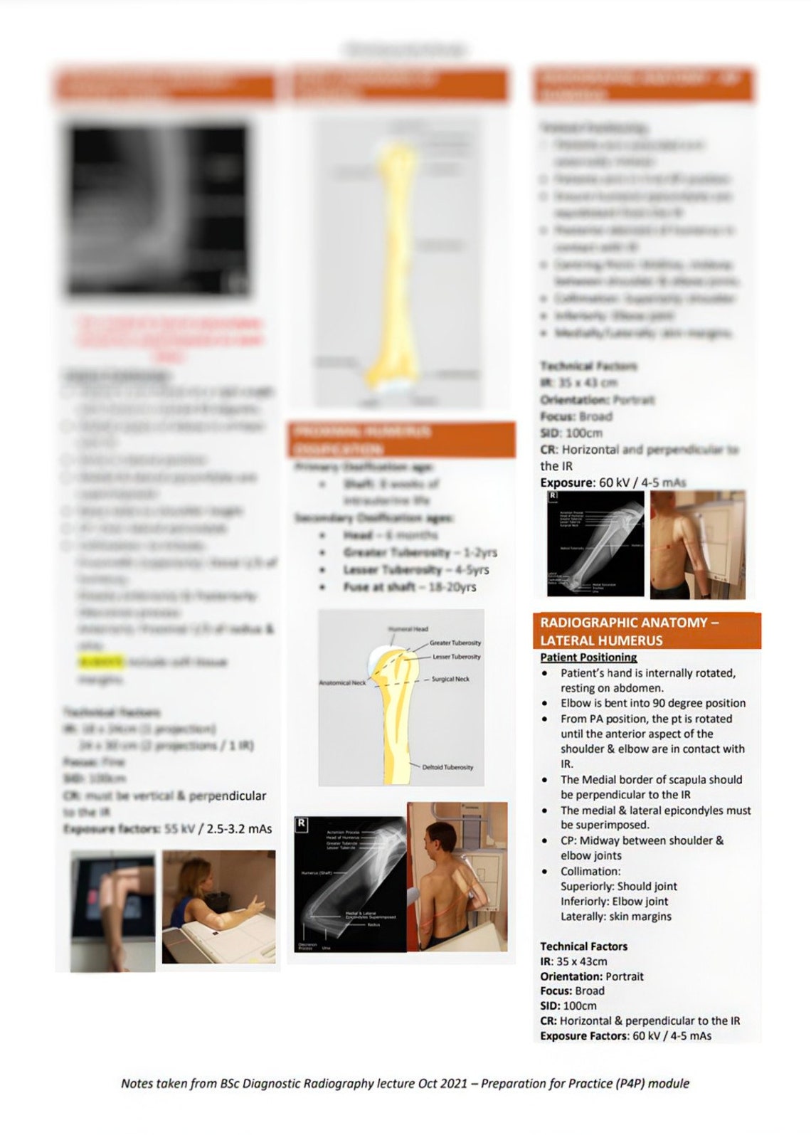 Elbow and Humerus - Anatomy, Positioning and Technique Notes for ...