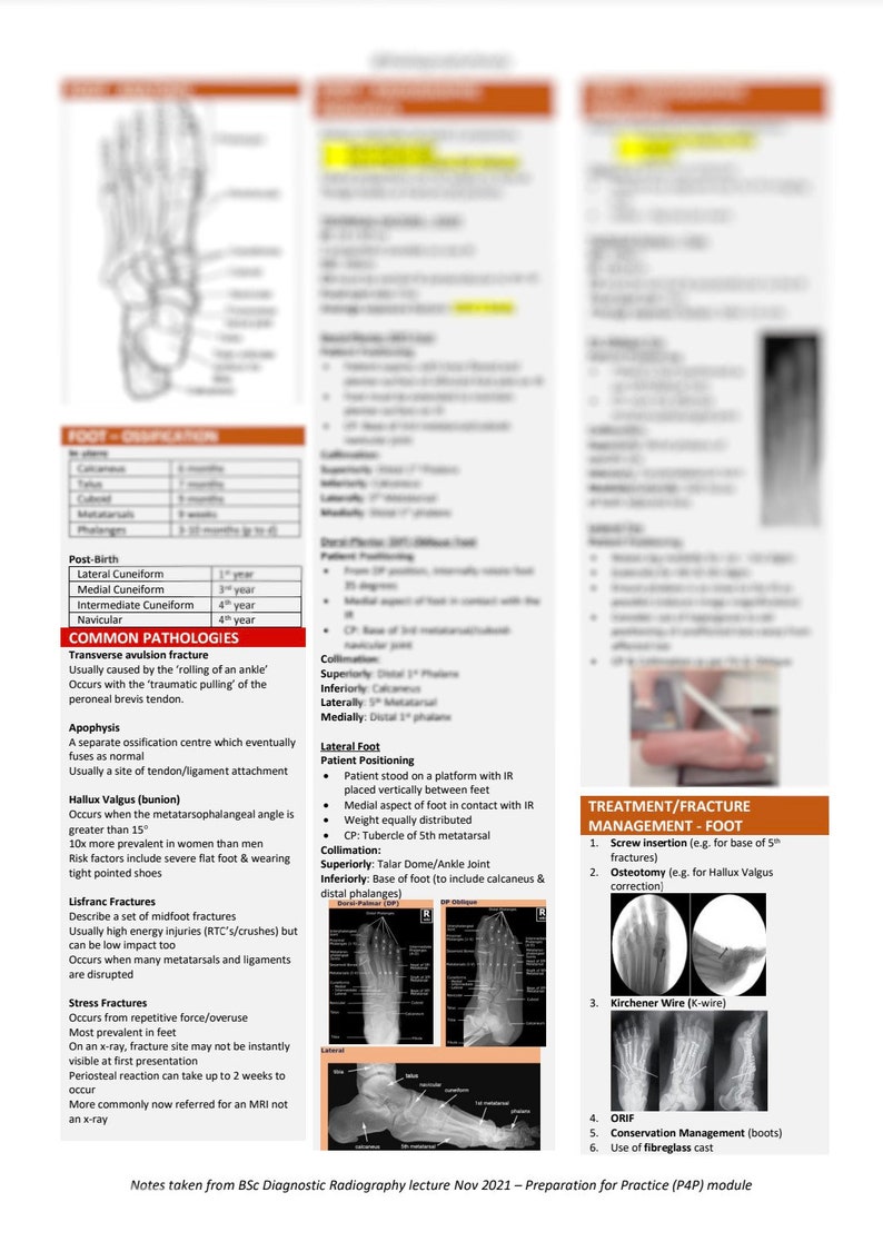 Ankle and Foot - Anatomy, Positioning and Technique Notes for ...