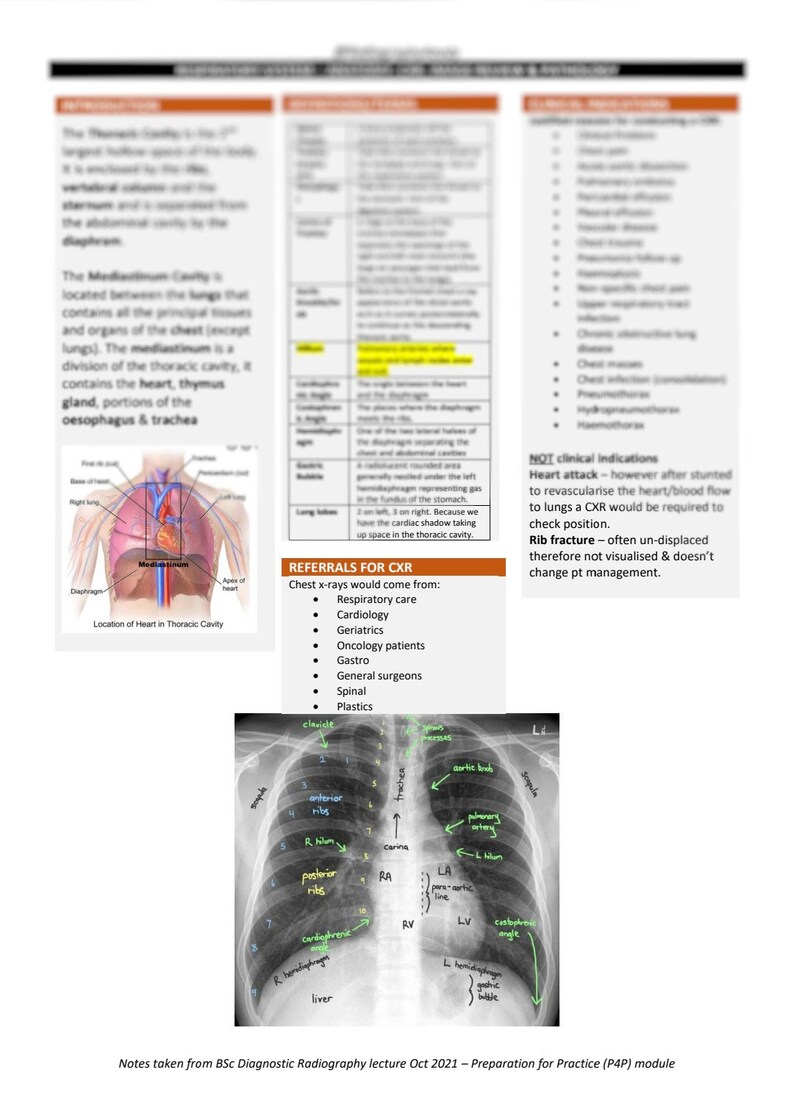 Respiratory System - Anatomy, Chest X-ray Imaging Positioning, Review ...