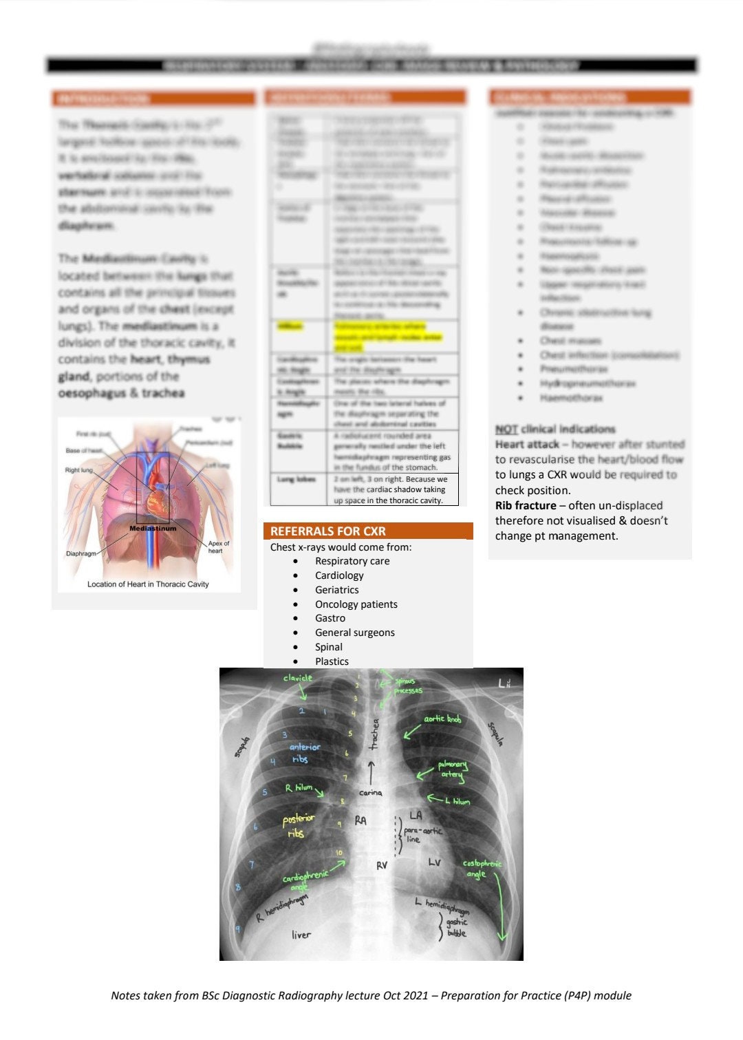 Respiratory System - Anatomy, Chest X-ray Imaging Positioning, Review ...