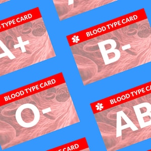 Blood Type Wallet Cards for Emergency Use – A Positive, A Negative, B ...