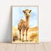 Set of 6 Nursery Desert Animal - Drawing Watercolor Poster, Prints for ...