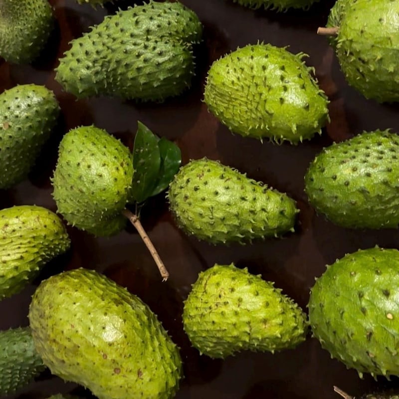 Soursop Tree and Fruit - Etsy