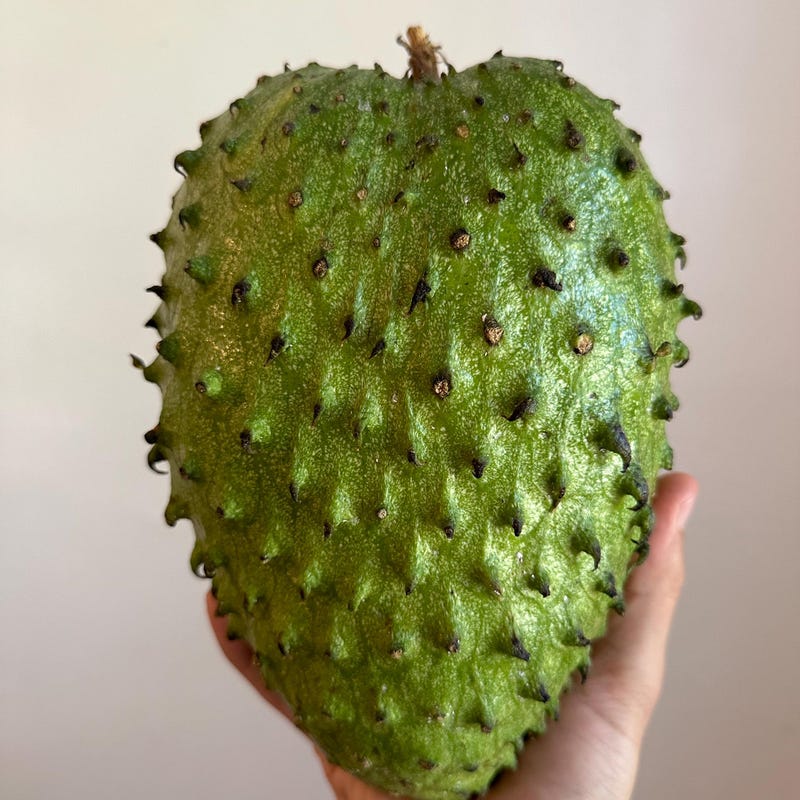 Soursop Leaves - Etsy