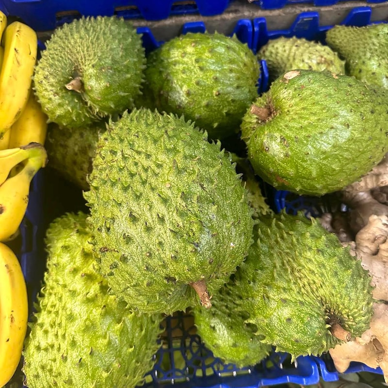 Fresh Soursop Leafs - Etsy