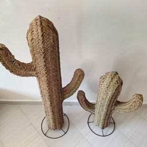 Moroccan Straw Cactus Decor Handwoven Doum Cactus for Rustic Indoor ...