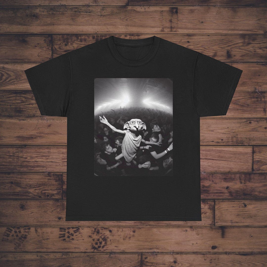 Harry Potter Dobby Party Goblin Tee, Funny Wizard Birthday Shirt ...