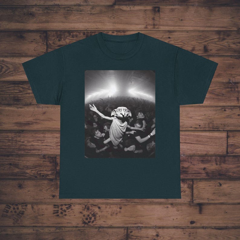 Harry Potter Dobby Party Goblin Tee, Funny Wizard Birthday Shirt ...