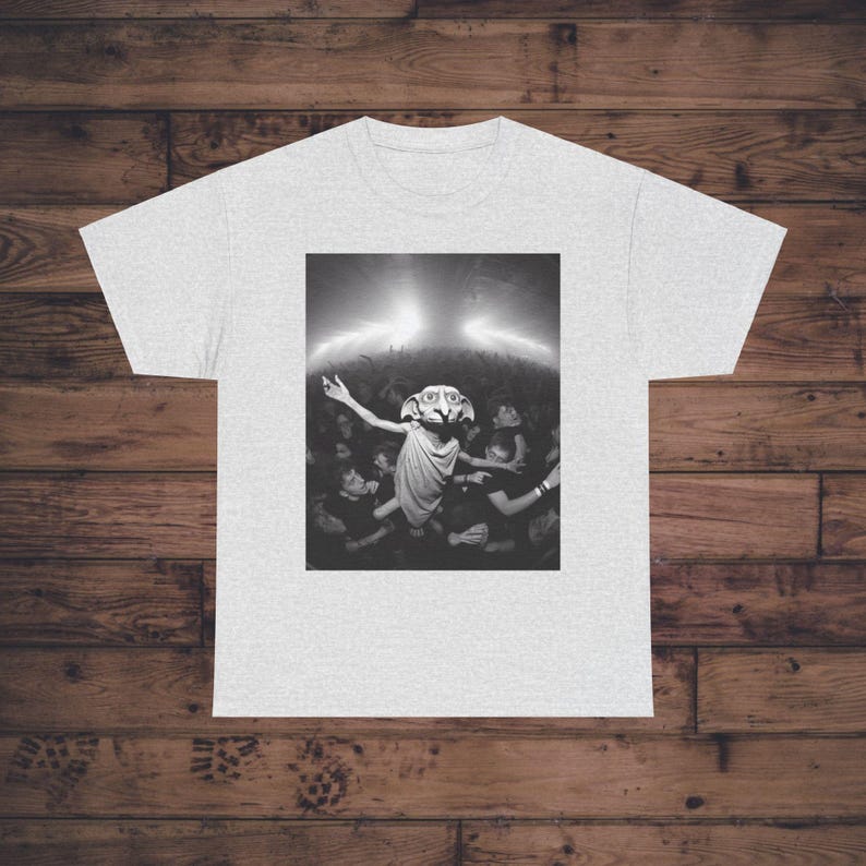 Harry Potter Dobby Party Goblin Tee, Funny Wizard Birthday Shirt ...