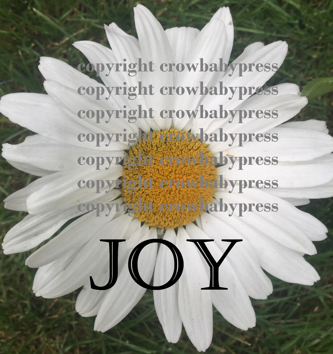 Joy Flower Word Art, Printable Daisy Photograph, Daisy Art ...