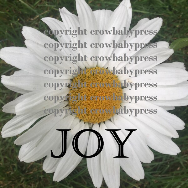 Daisy Word Wall Cards - Etsy