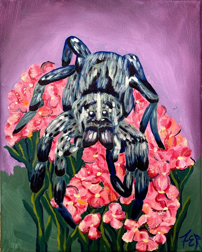 Wolf Spider Painting, Spider Art, Abstract Animal Art, Spider Decor ...