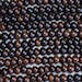 10x8mm Dark Brown Water Buffalo Bone Rondelle Beads - 15 Inch Stand ...
