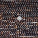 10x8mm Dark Brown Water Buffalo Bone Rondelle Beads - 15 Inch Stand ...