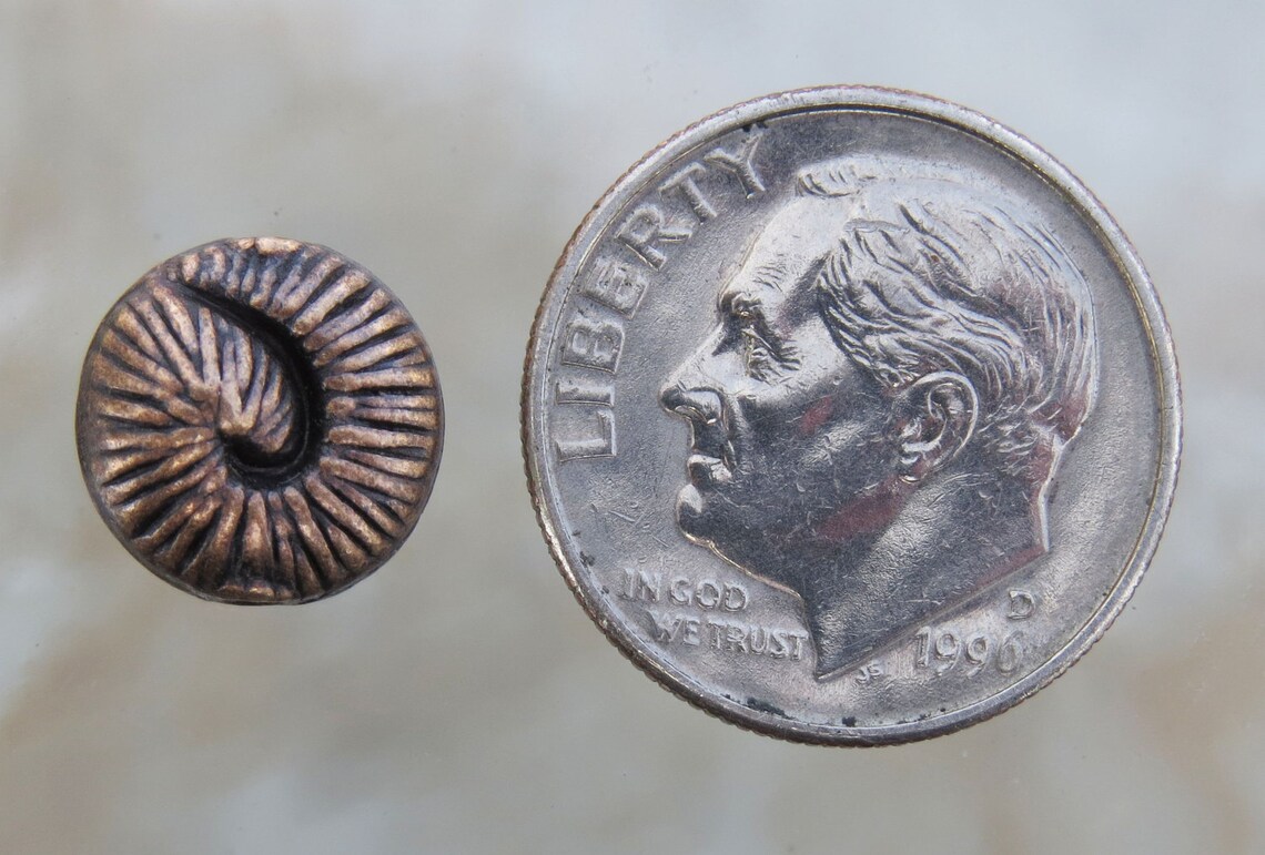 10mm (1mm Hole) Antique Copper Alloy Metal Shell Beads - Qty 10 (MB163 ...