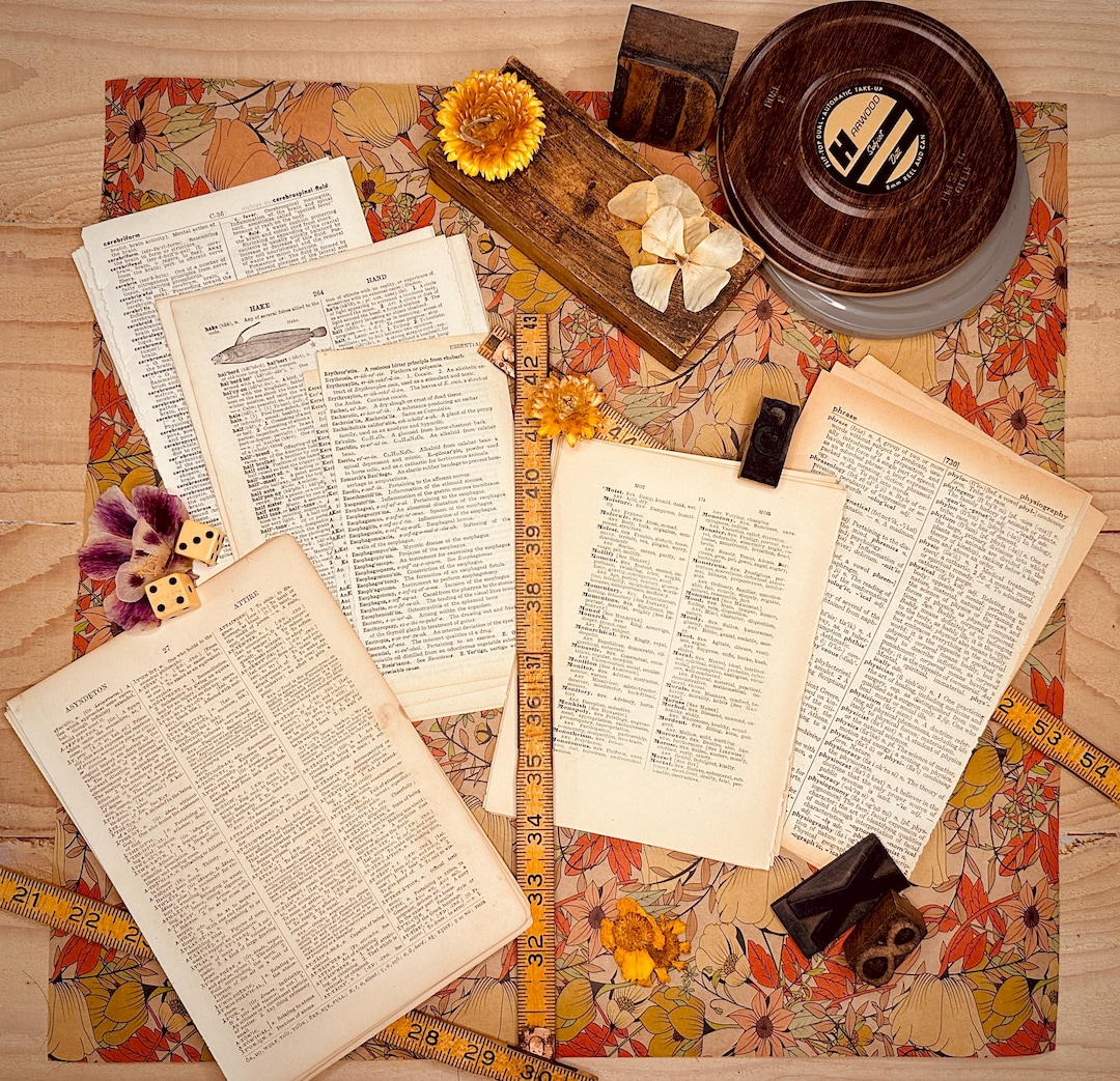 60 Pages of Vintage Ephemera Dictionary Papers From 12 Dictionaries ...