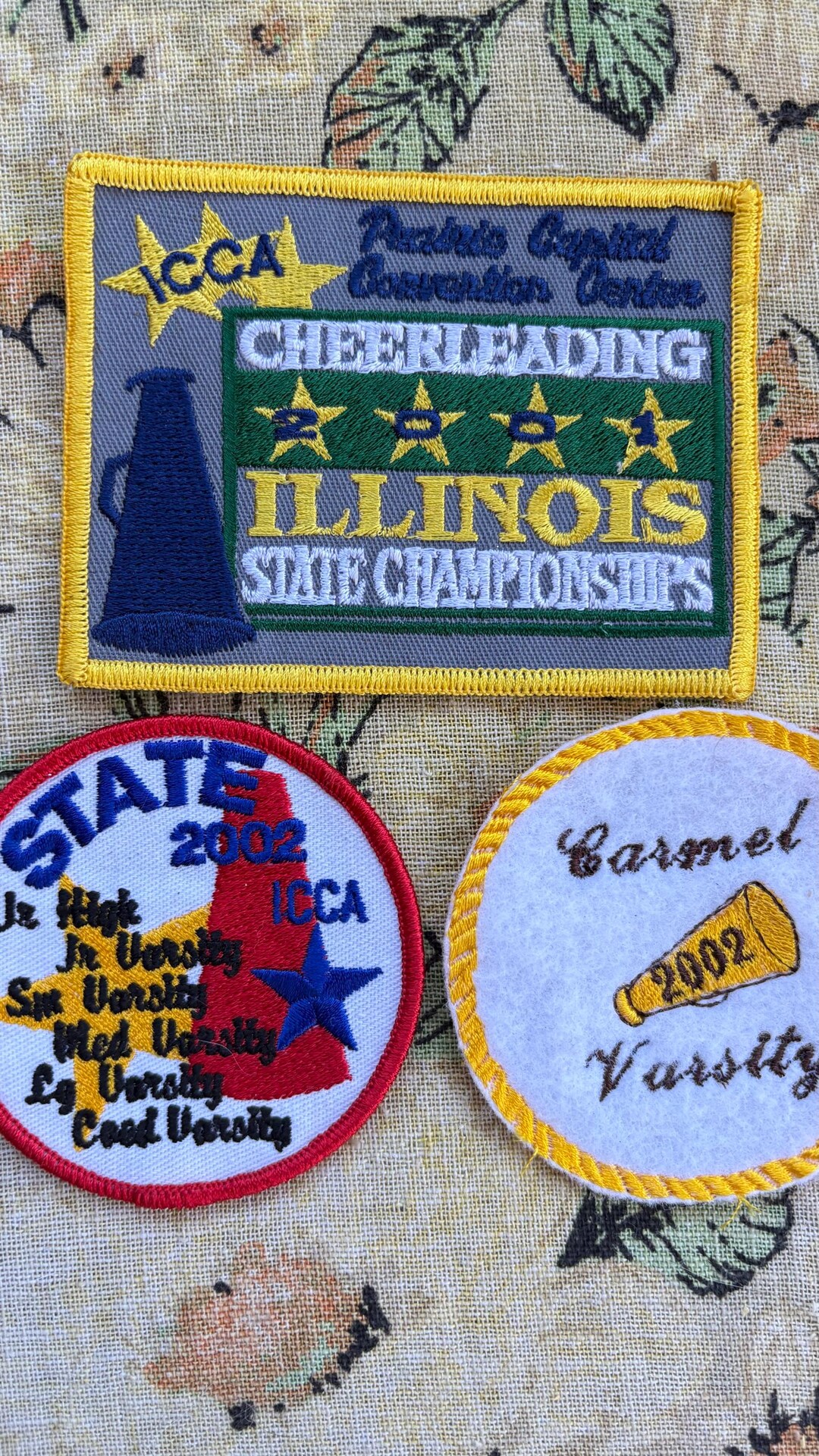 Vintage Early 2000s Illinois State Cheerleading Embroidered Patches Lot ...