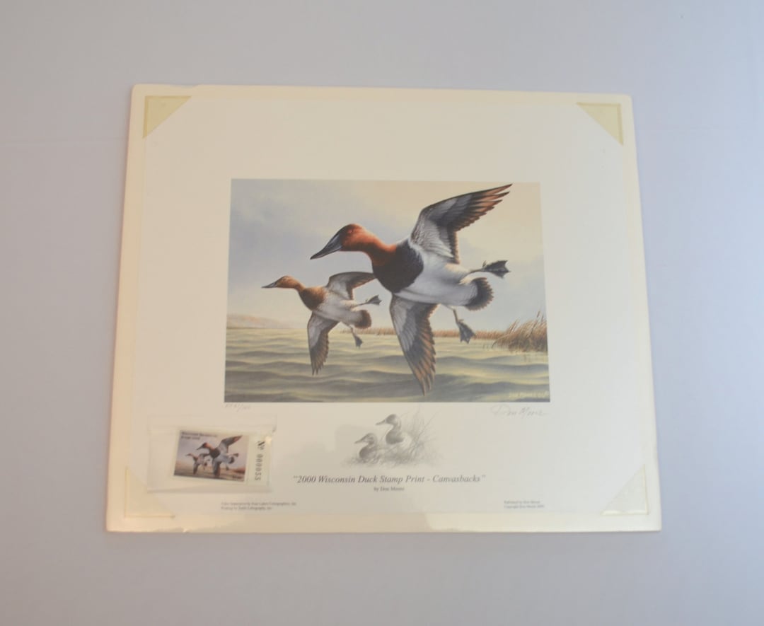 Vintage Wisconsin Duck Art Print Canvasbacks Duck Stamp Print by Artist ...