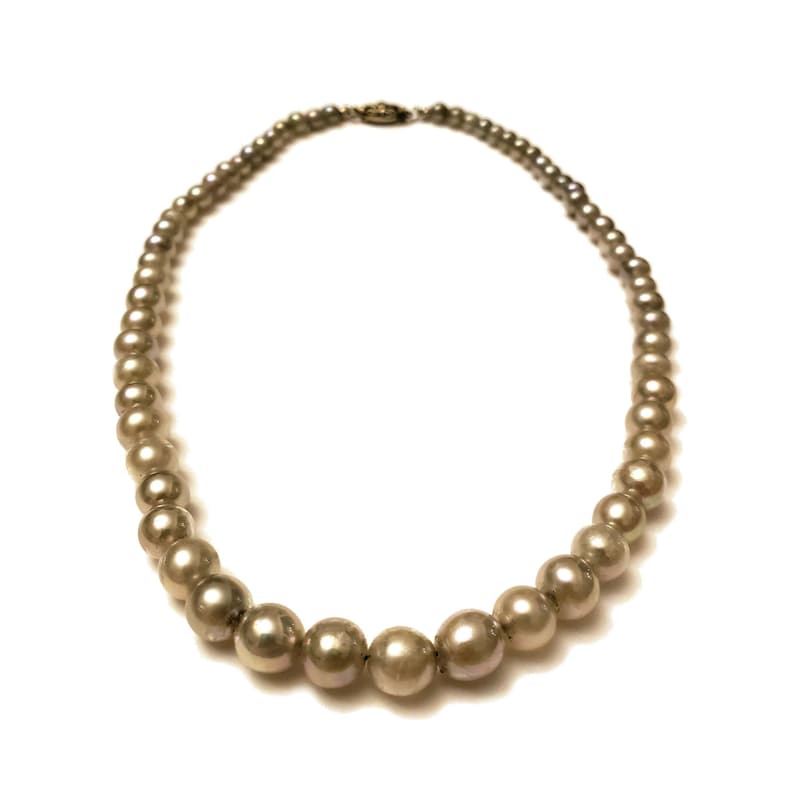 Fish Scale Jewelry - Etsy