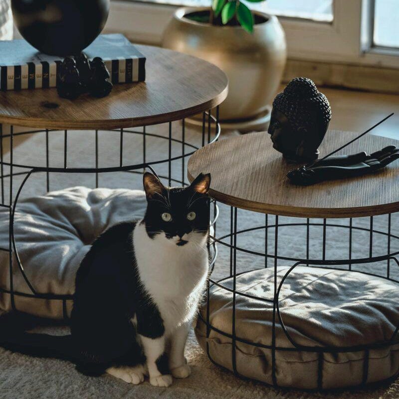 Cat End Table - Etsy