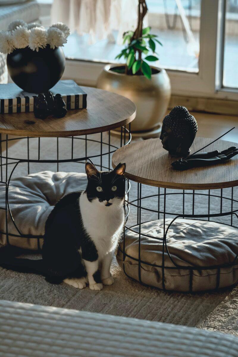 Living Room Table / Coffee Corner Table / Handmade Table / Cat House ...