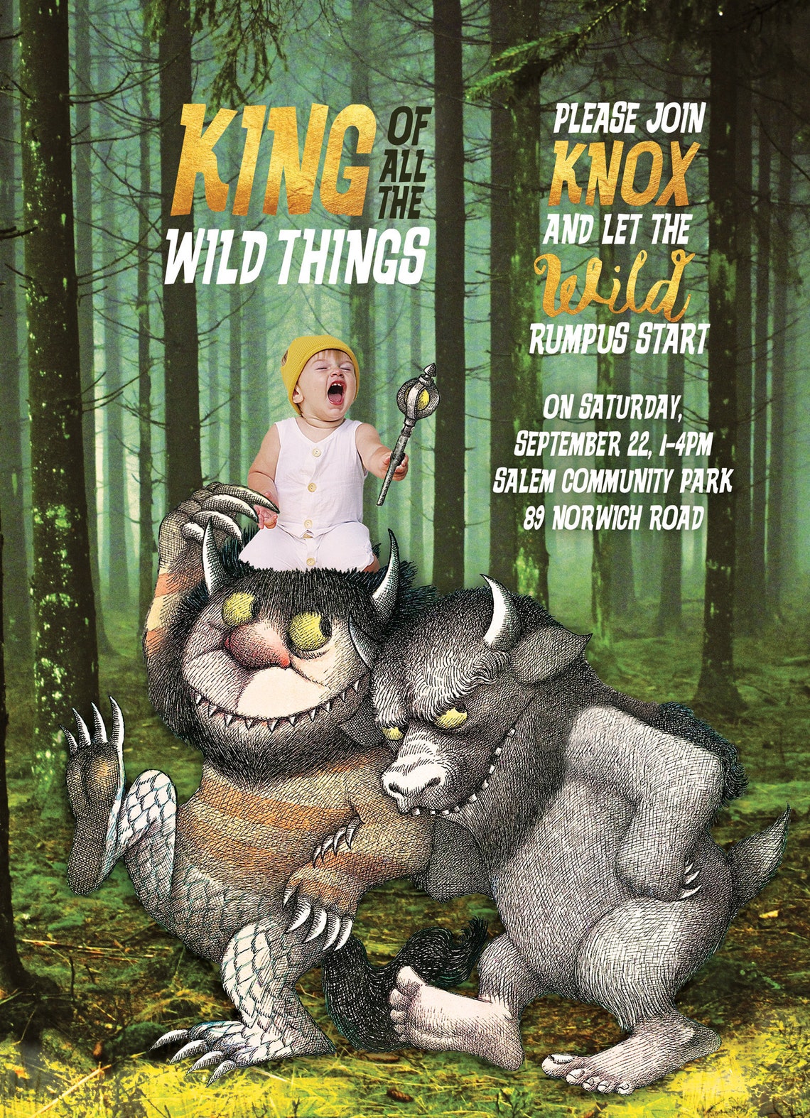 DIGITAL Where the Wild Things Are Birthday Invitation -1 Sided • Wild ...