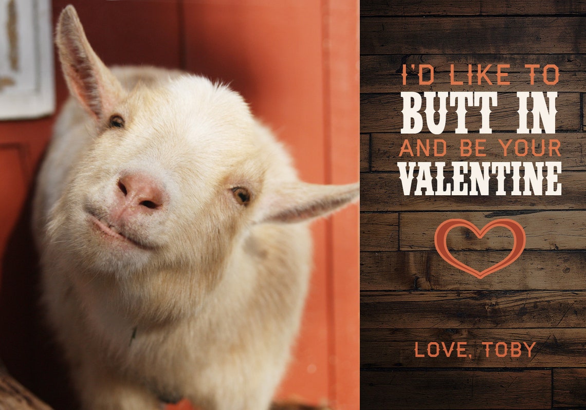 CUSTOM GOAT Valentine Card Photo Farm Animal Valentine Digital ...