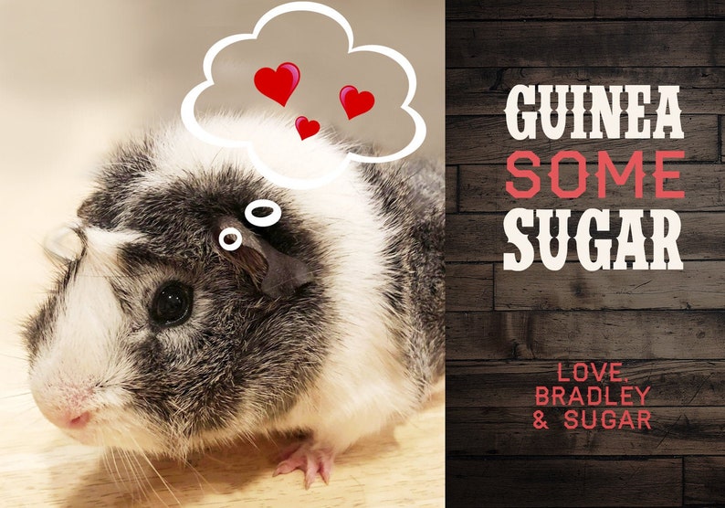 CUSTOM PET Bug Spider Snake Dog Cat Guinea Pig Valentine Card Kids ...