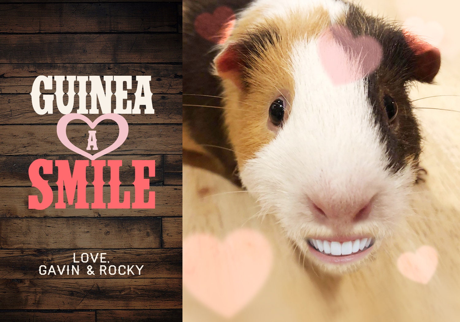 CUSTOM PET Bug Spider Snake Dog Cat Guinea Pig Valentine Card Kids ...