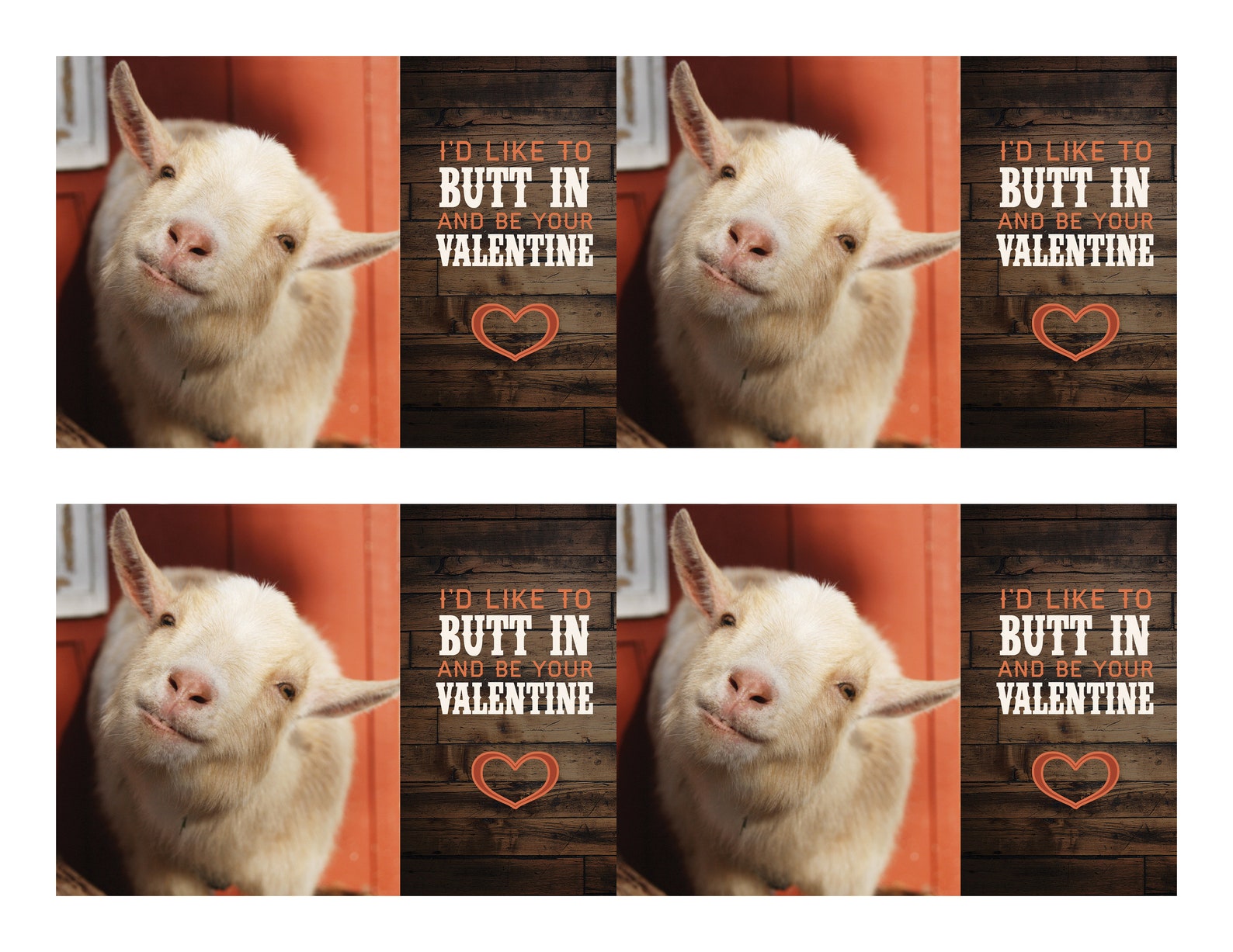 GOAT Valentine Card • Photo Farm Animal Valentine • Child's Class ...