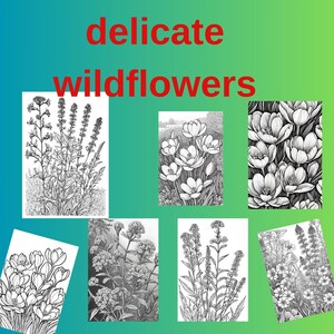 Types of Flowers 70 Pages Instant Downloadable Pdf Coloring Pages ...