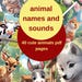 Montessori Educational Pages, Animal Names and Sounds Educational ...