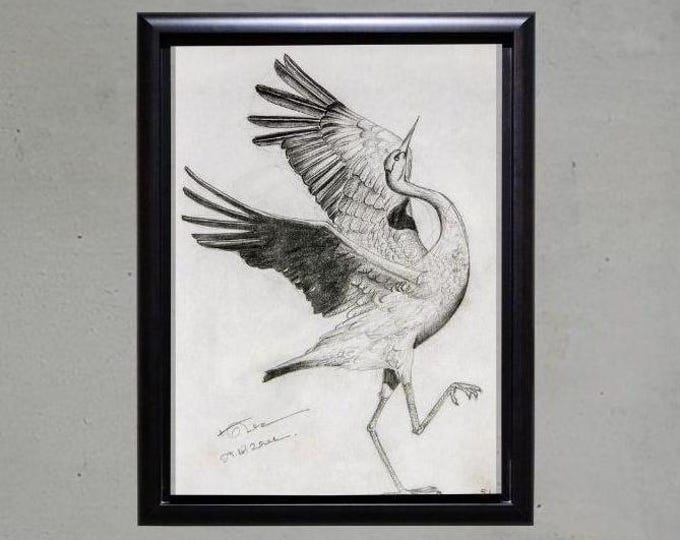Parrot Charcoal Drawing/sketch - Etsy Canada