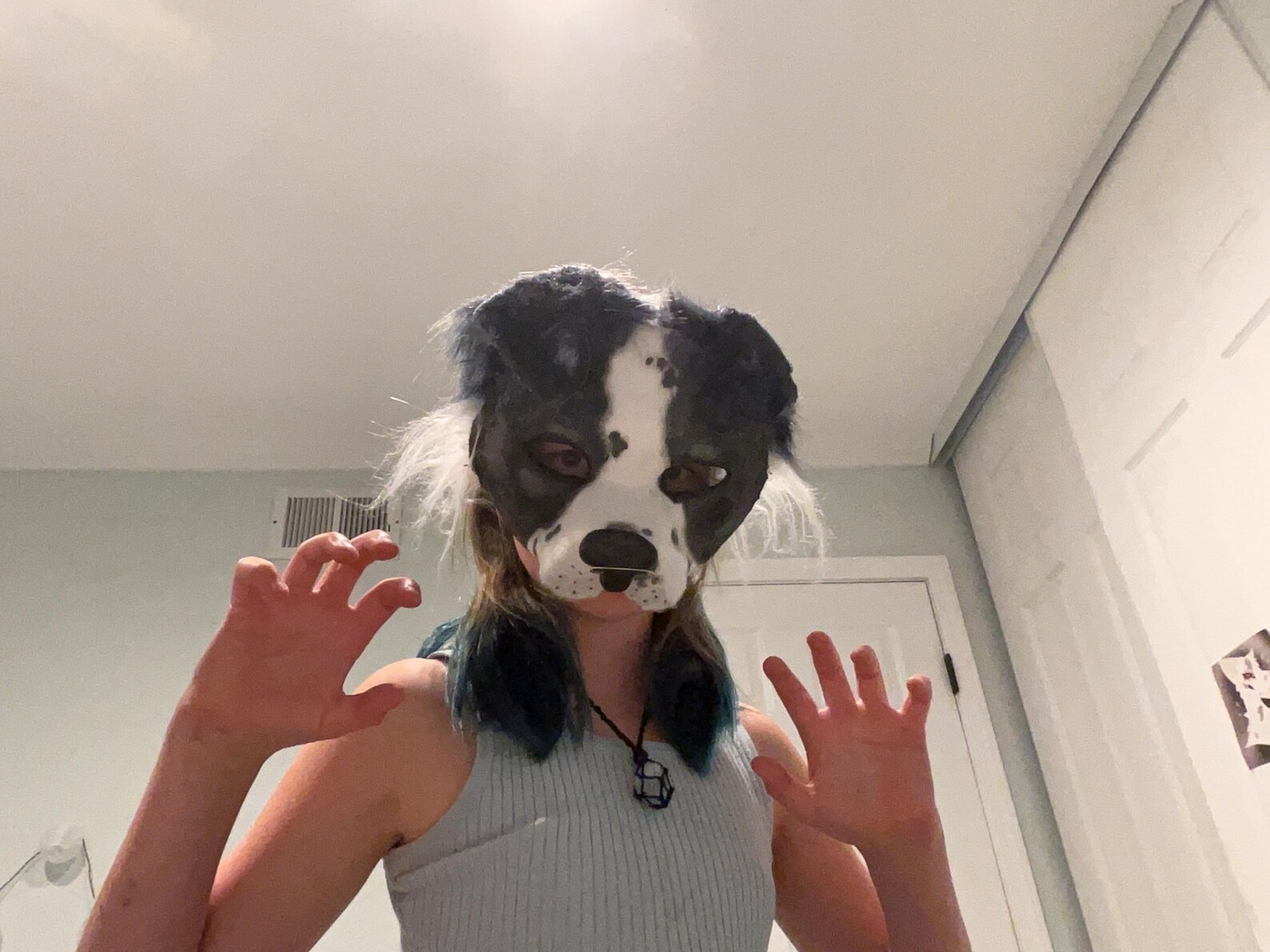 Black Border Collie Therian Mask! - Etsy