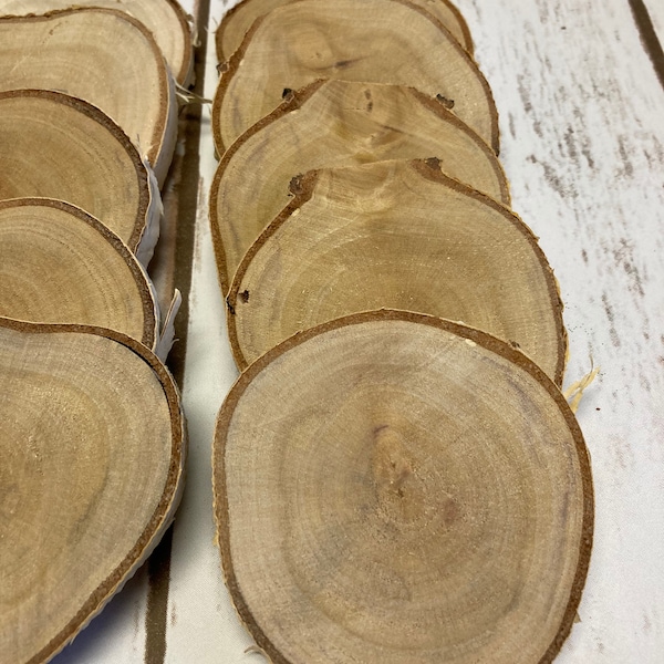 Birch Wood - Etsy