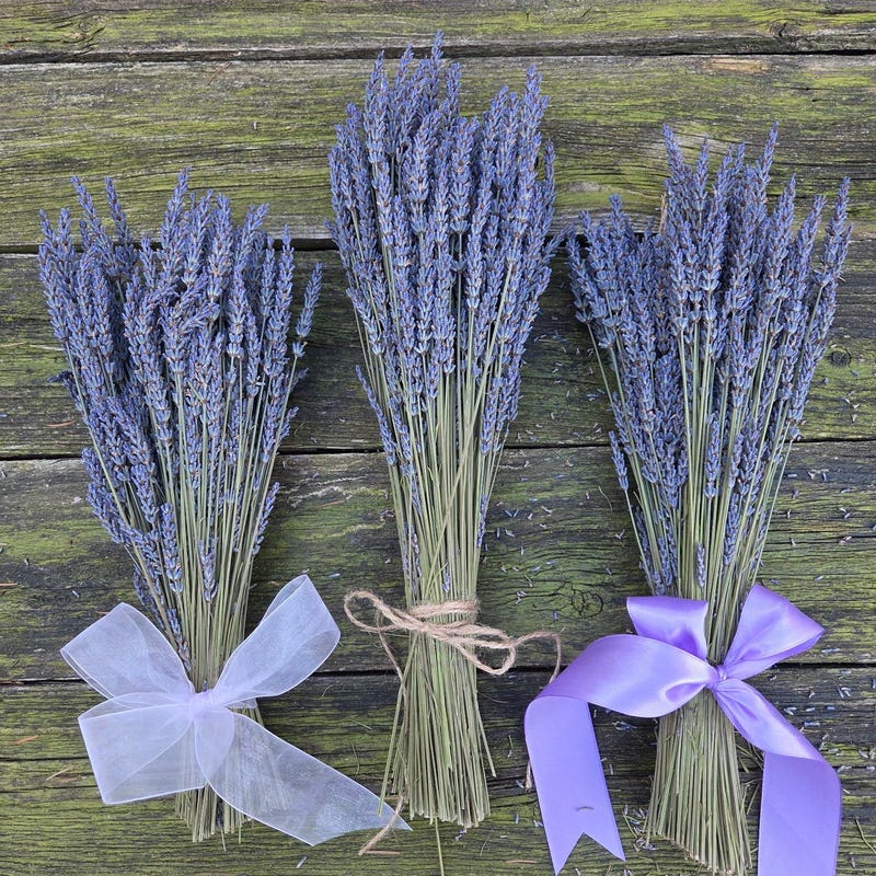 Lavender Sprigs - Etsy