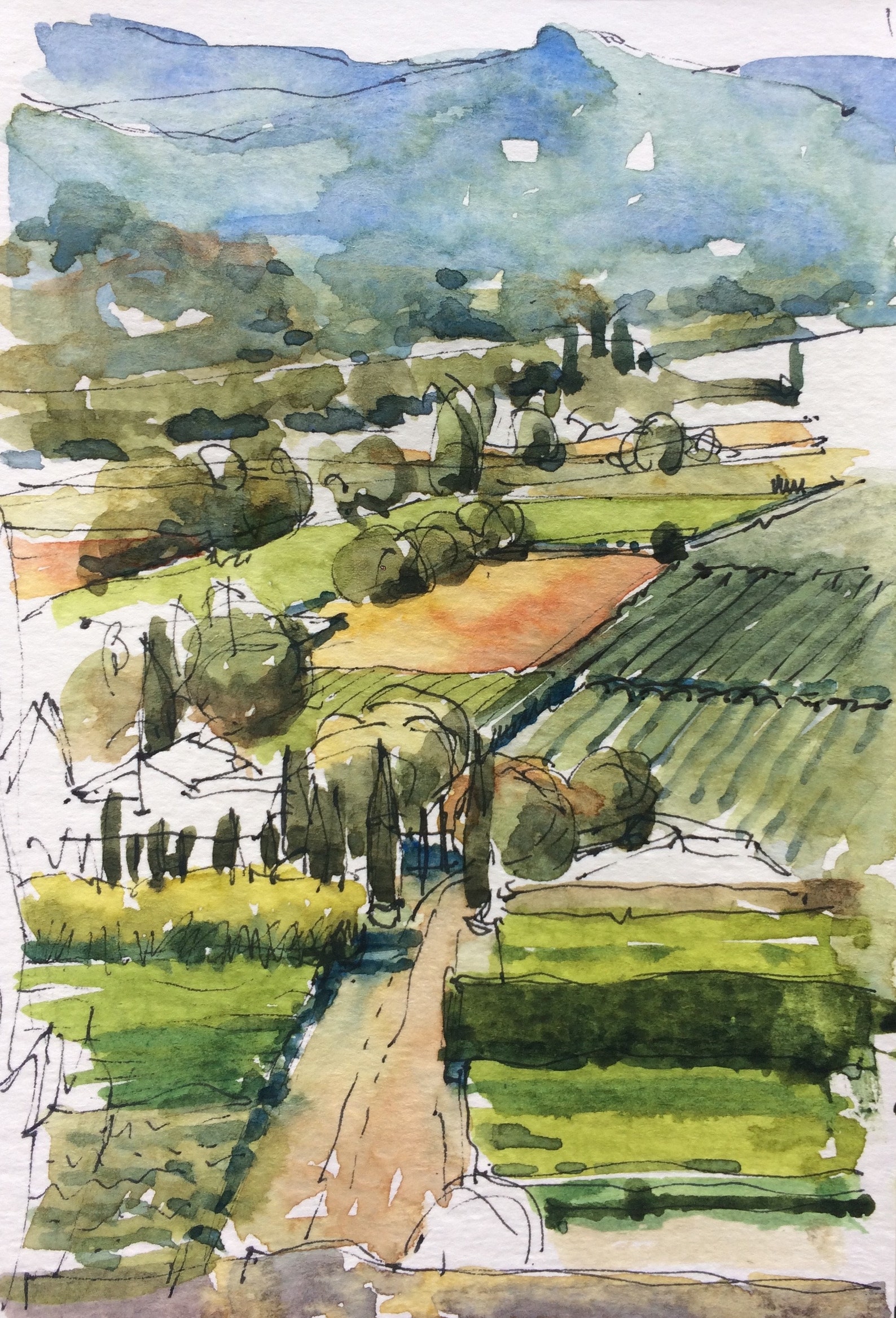 Provence - Etsy