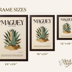 Maguey Wall Art Agave Print Mexican Cultural Decor Minimalist Vintage ...